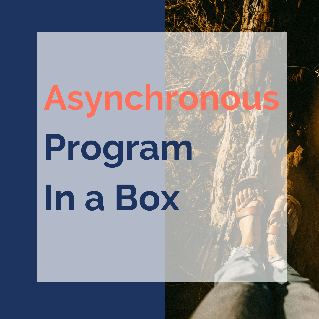 Asynchronous Program in a Box